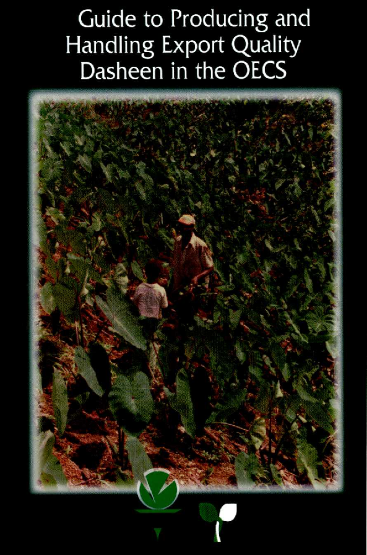Guide to Producing & Handling Export Quality Dasheen in OECS 2000 - Studocu
