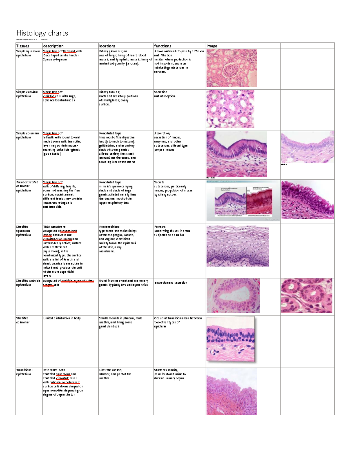 Tissue Histology Overview: Descriptions, Locations, and Functions - Studocu