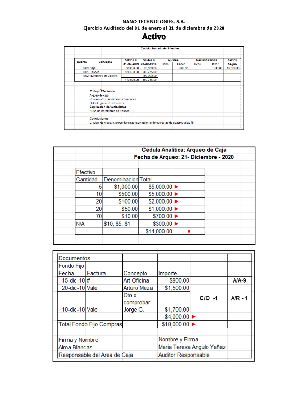 Cedulas de auditoria 2 - Ejercicio Auditado del 01 de enero al 31 de ...