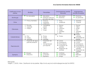 Actividades sobre el funcionamiento y activación del Sistema del ...