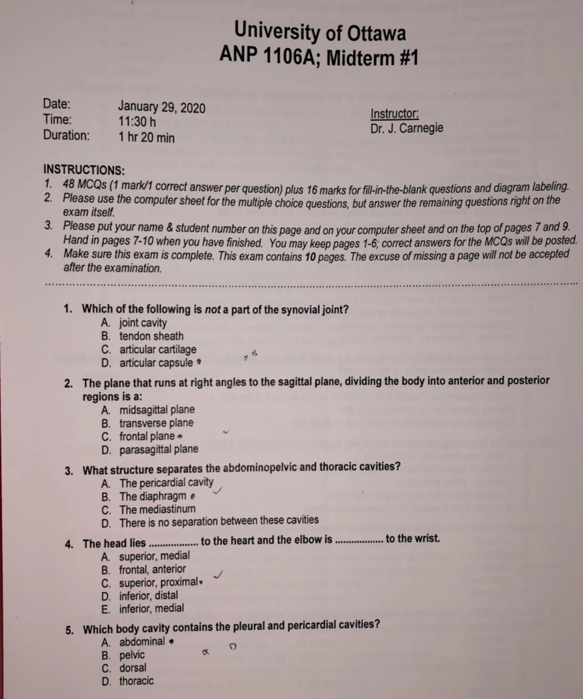 ANP - Midterm 1 Worksheet: Skull & Integumentary System Labeling - Studocu