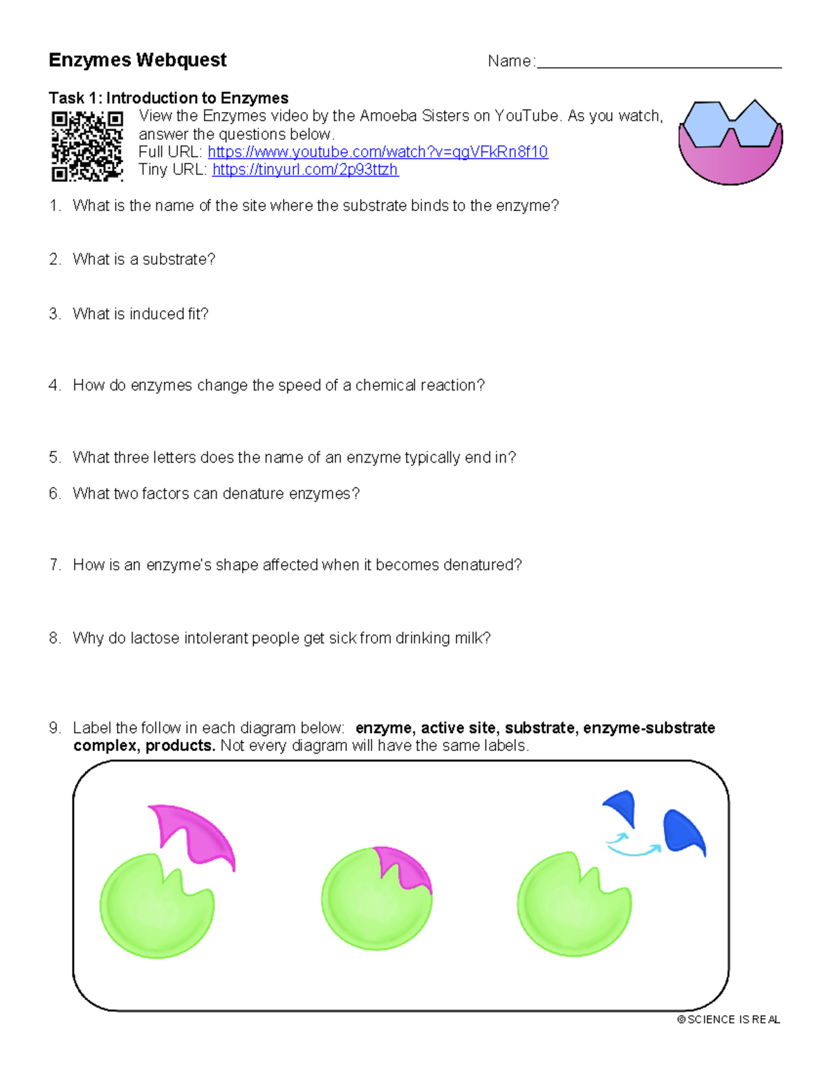 Enzymes Webquest Student Handout: Final Exam Review Guide - Studocu
