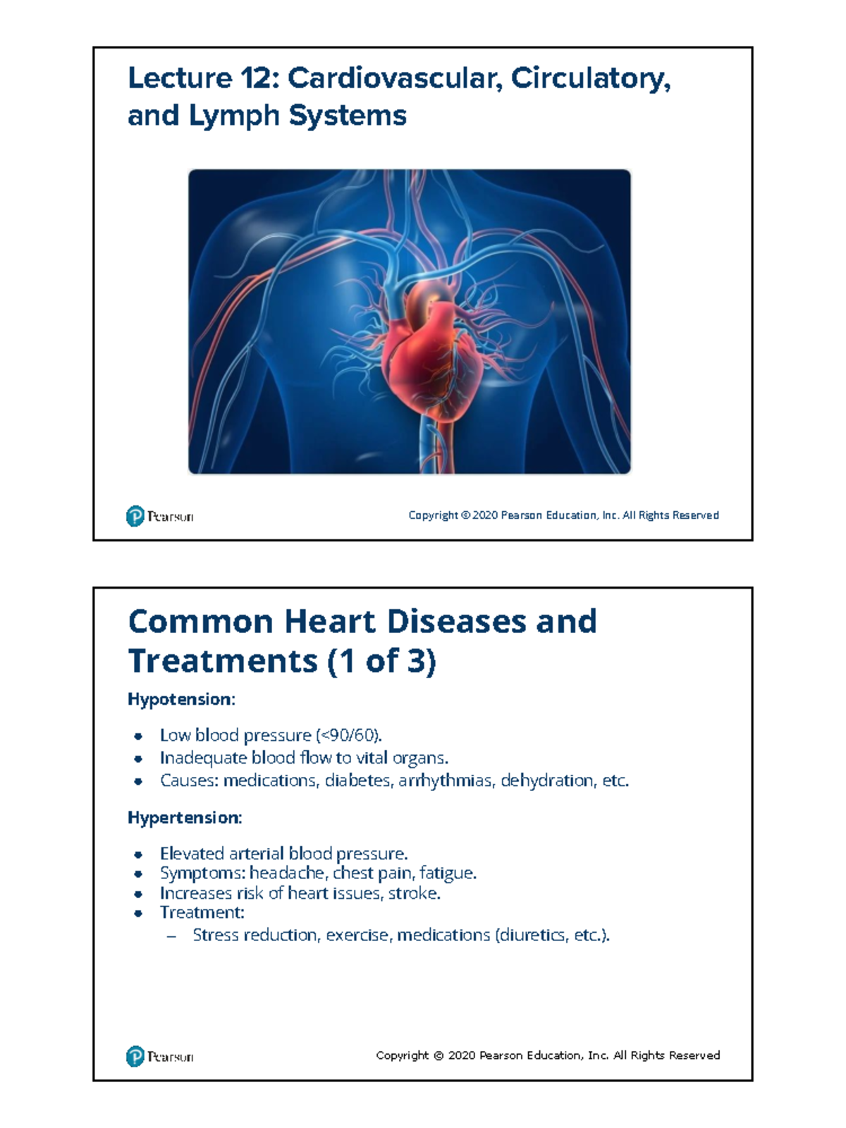 Lecture 12: Cardiovascular, Circulatory & Lymph Systems Disorders and ...