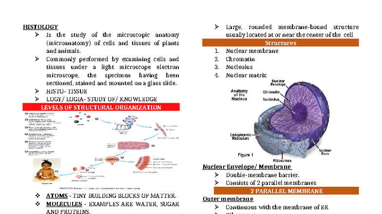 Introduction to Histology: Microscopic Anatomy of Cells & Tissues - Studocu