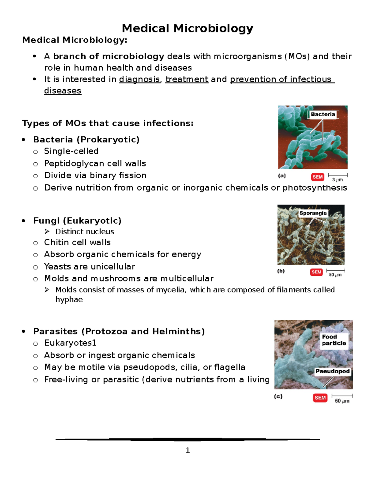 Medical Microbiology - summary - Medical Microbiology: A branch of ...