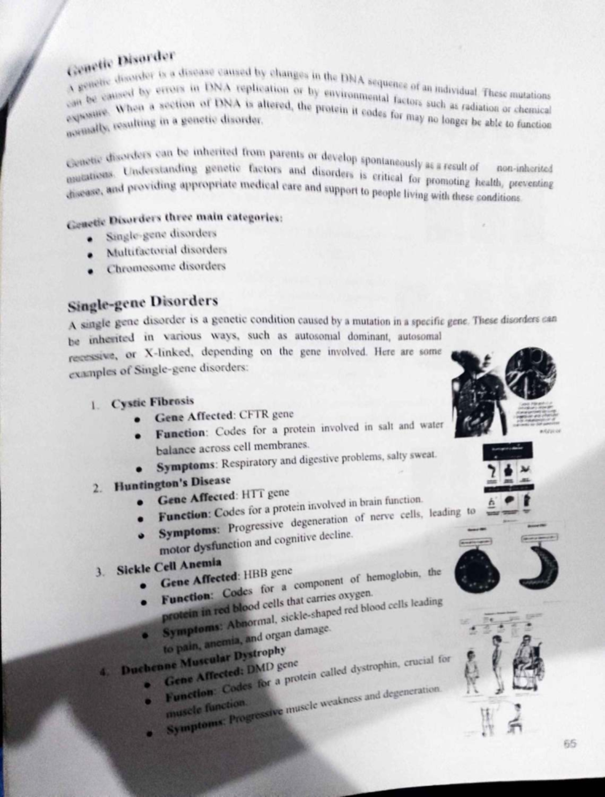 Genetic Disorders Overview: Types, Causes, and Treatments (BIO101 ...