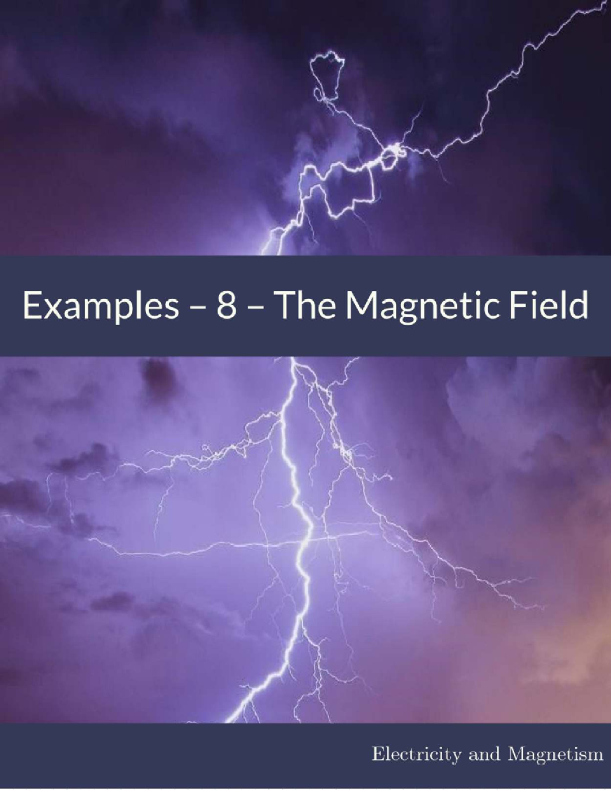 Examples - 8 - The Magnetic Field - Examples The Magnetic Field ...