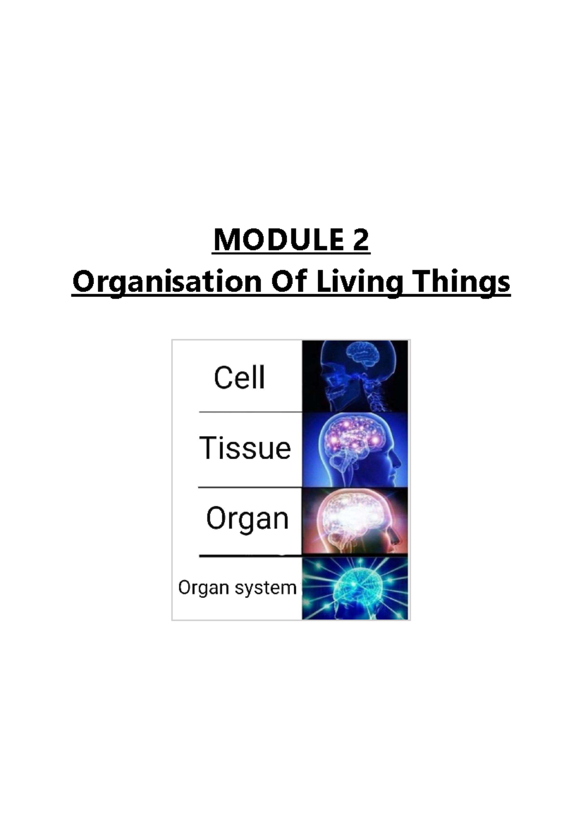 Module 2 Bio: Exploring the Organisation of Living Things - Studocu