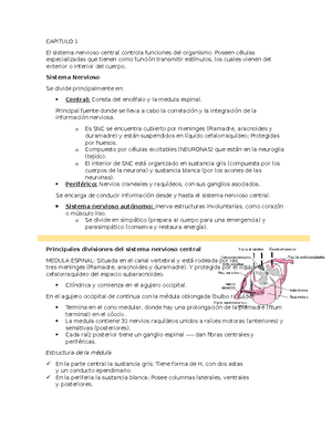 Mapas Conceptuales de los Pares craneales - Neurología - Warning: TT: undefined function: 32 ...