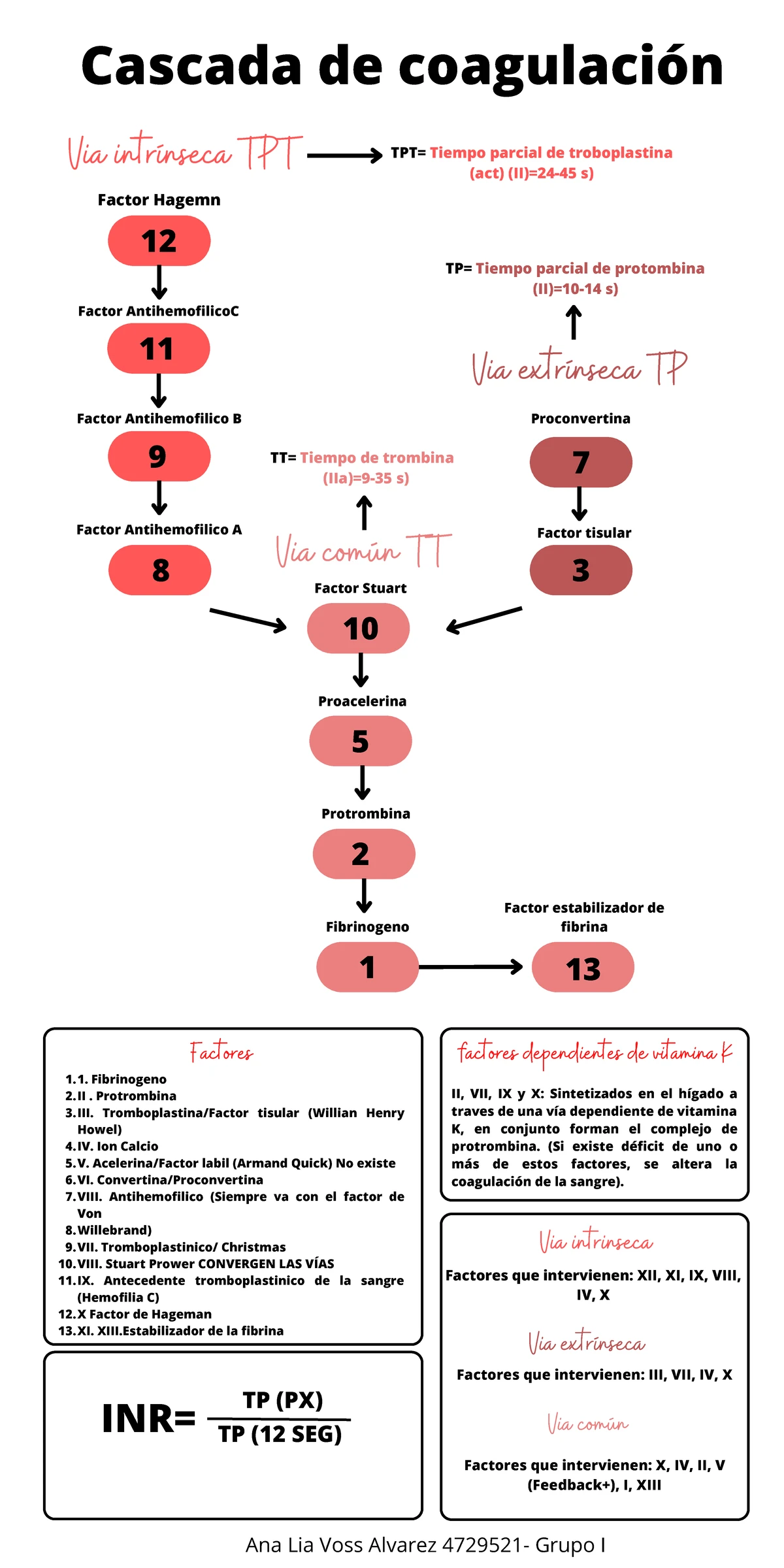Pruebas de coagulación T.P, T.T.P Y T - Función ¿Qué son T, T.P y T? Pruebas de coagulación: T ...
