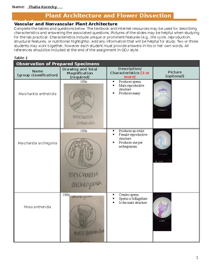 Fungi Worksheet 2 - Name: Fungi: Molds, Yeasts, Mushrooms, and Lichens ...