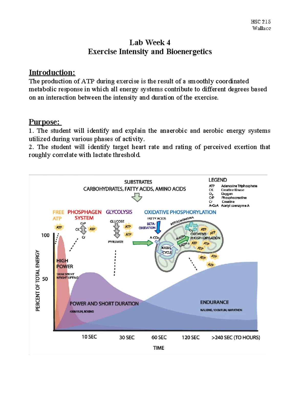 Vital Signs and Homeostasis in Exercise: Week 3 Lab Report (215) - Studocu