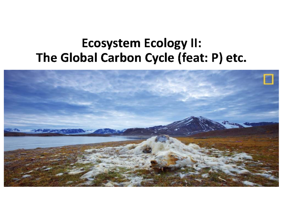 Ecosystem Ecology II: The Global Carbon Cycle Lecture Notes - Studocu