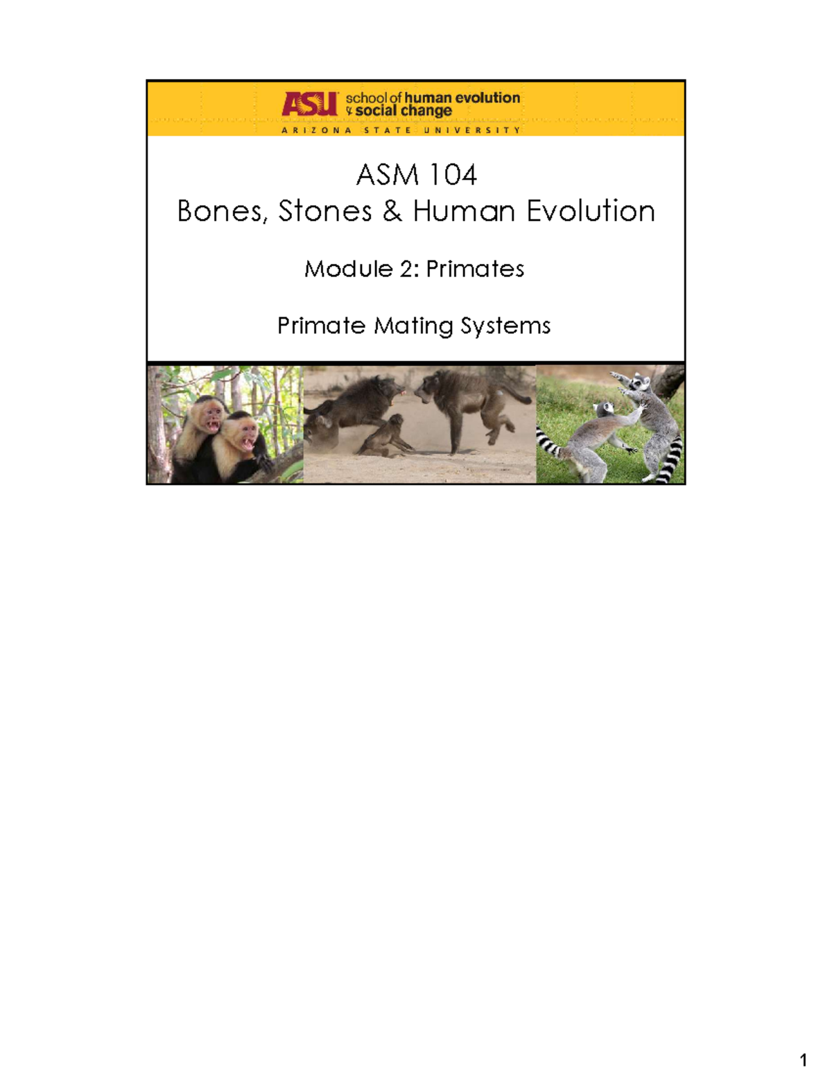 ASM 104 Final Exam: Understanding Primate Mating Systems and Reproductive - Studocu