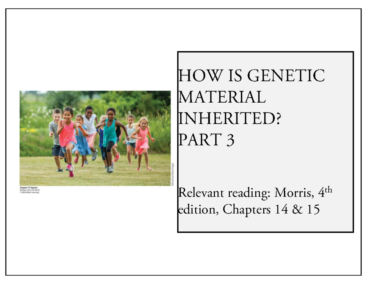 Genetic Inheritance Patterns: Y-linked Genes & Mitochondrial DNA - Studocu