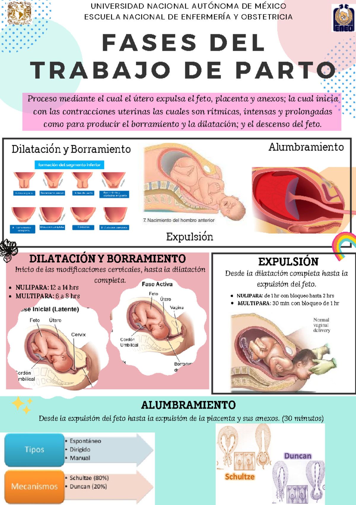Fases Del Parto Trabajo De Parto Images