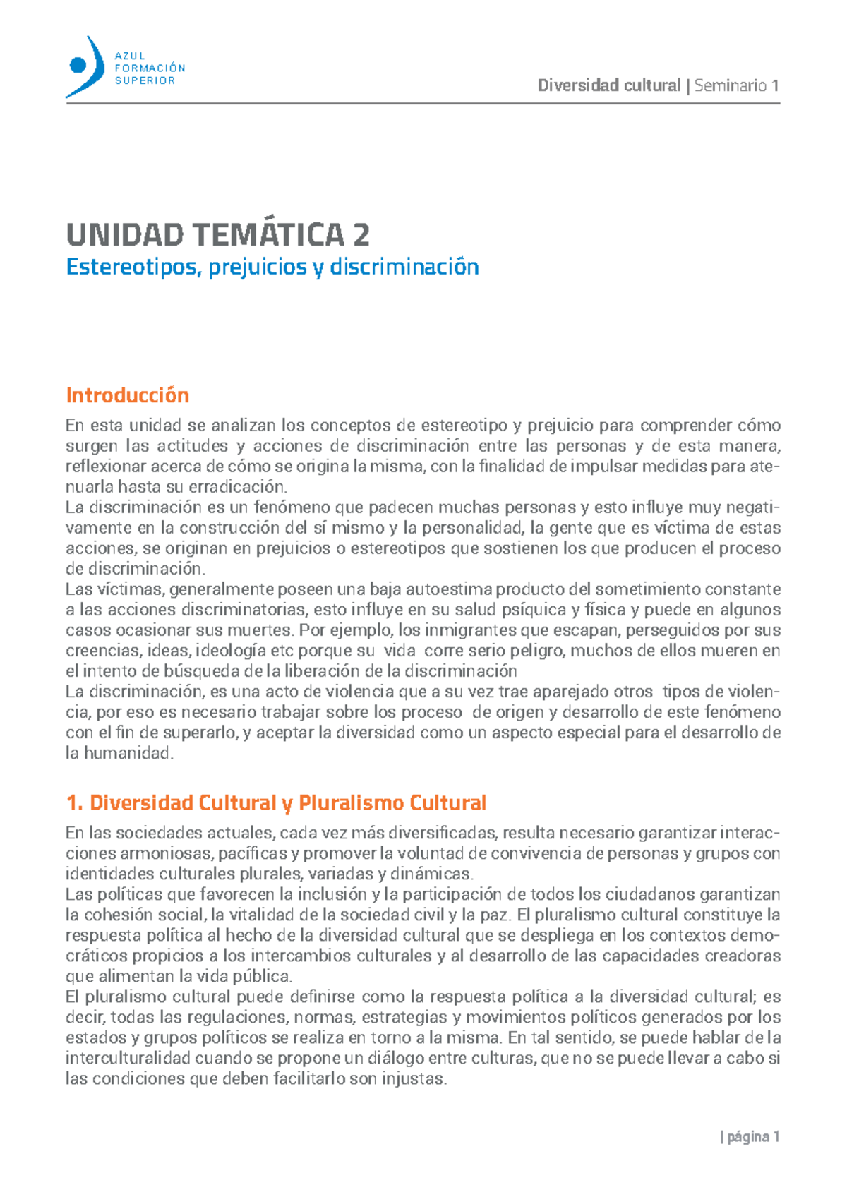 Estereotipos y Prejuicios en la Diversidad Cultural - UNIDAD TEMÁTICA 2 ...