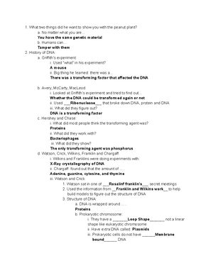 U6M3A2 - Lac Operon PHET Simulation - The Lac Operon Modeling Lab The ...