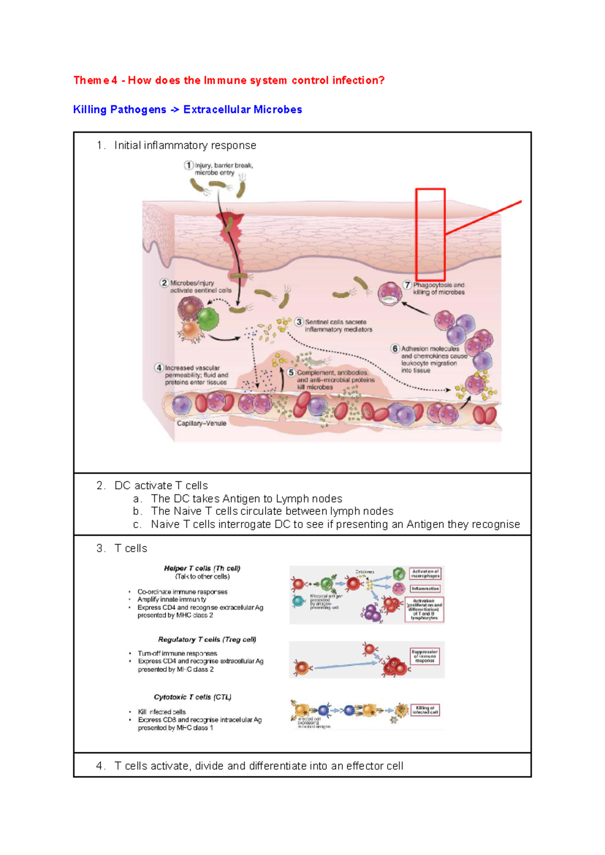 Theme 4 - Immune System's Mechanisms Against Infection and Pathogens ...