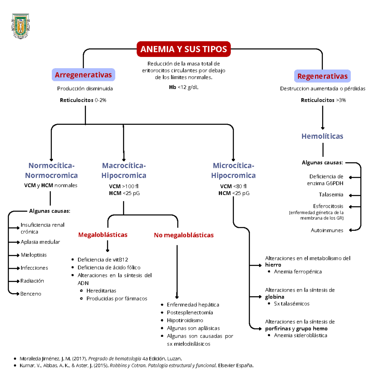Tipos de Anemias: Clasificación y Causas - Nutrición Clínica Aplicada ...