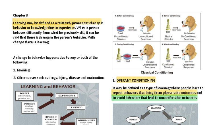 Psychology 101: Chapter 3 - Learning and Perception Insights - Studocu