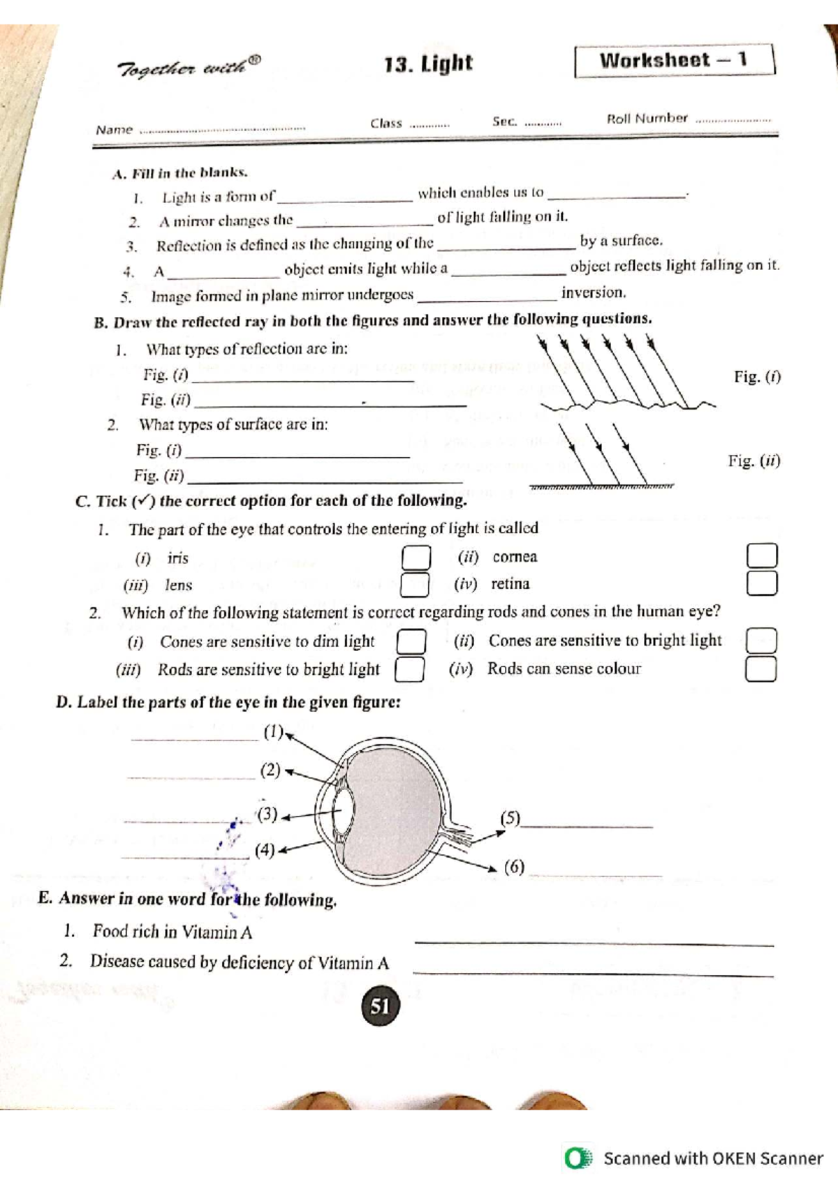 Class VIII Science Worksheets: Light, Electric Current, Sound, and ...
