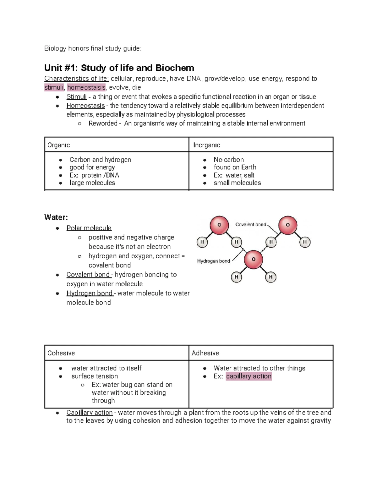Copy of Honors Biology Study Guide - UNIT 1 – INTRODUCTION TO BIOLOGY ...