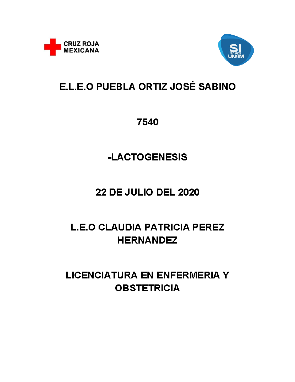 Lactogénesis: Proceso y Fases en la Lactancia Materna (Enf. 7540) - Studocu