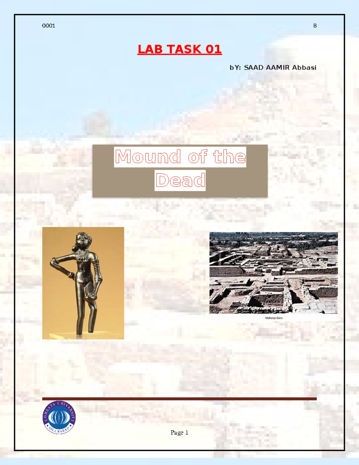 LAB TASK 01 Saad Aamir Abbasi - Information and Communication Technologies (ICT) in Education ...