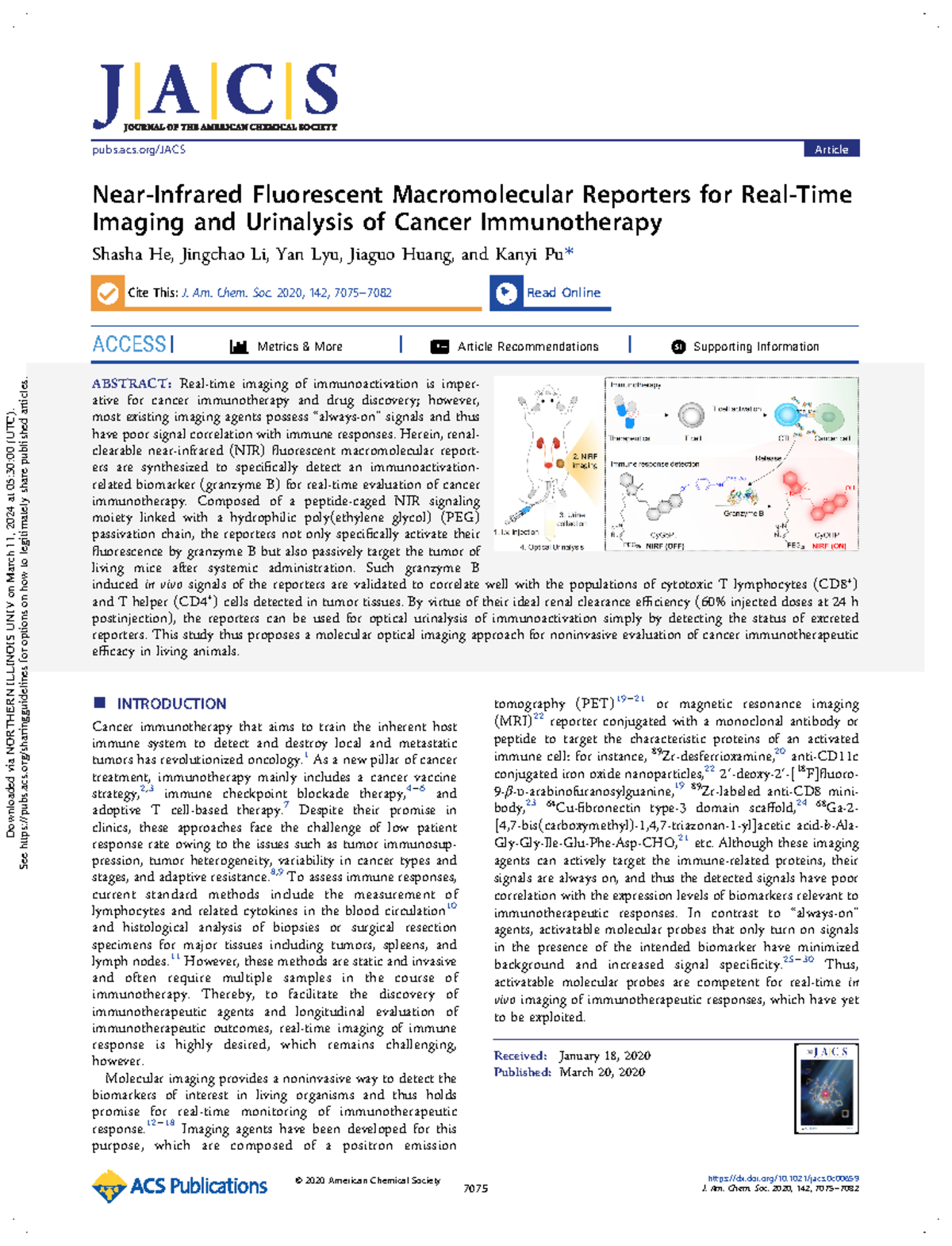 Near-Infrared Fluorescent Macromolecular Reporters for Cancer Imaging ...