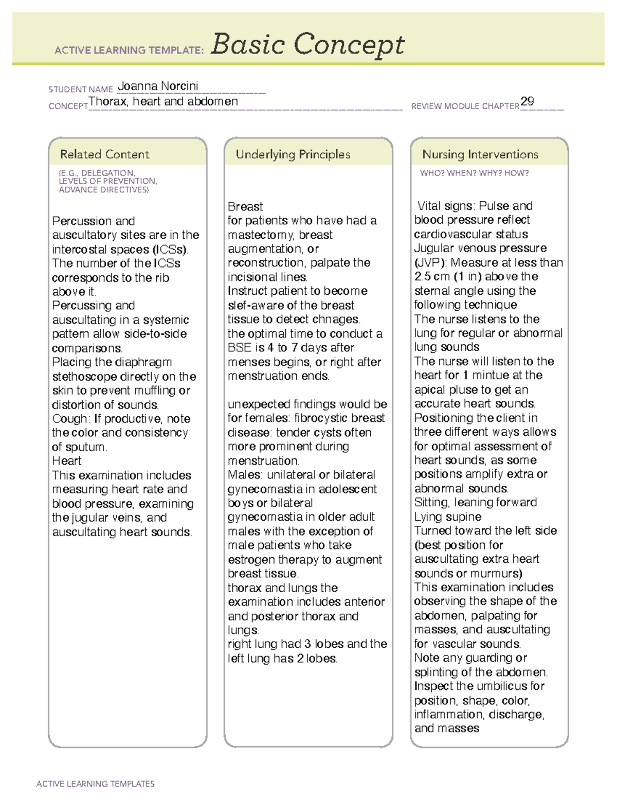 Basic concept thorax, heart and abdomen - ACTIVE LEARNING TEMPLATES ...