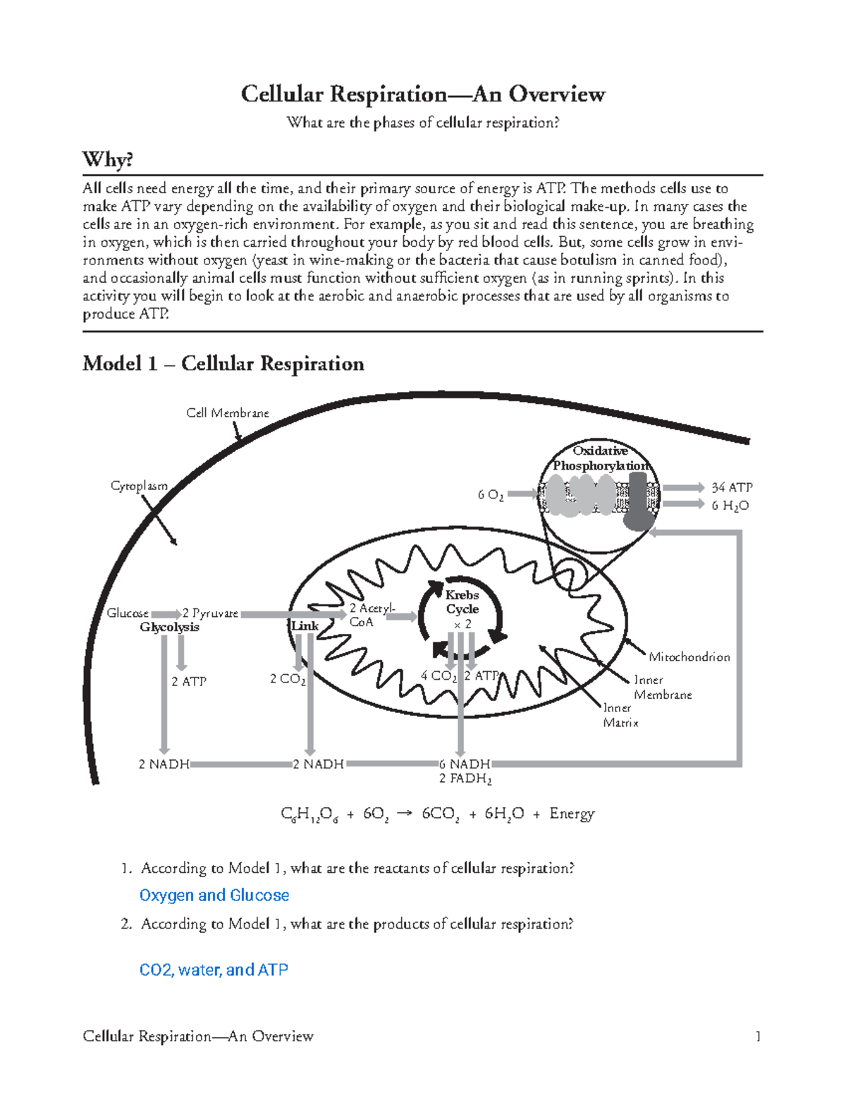 Biol 101: Overview of Cellular Respiration and ATP Production - Studocu