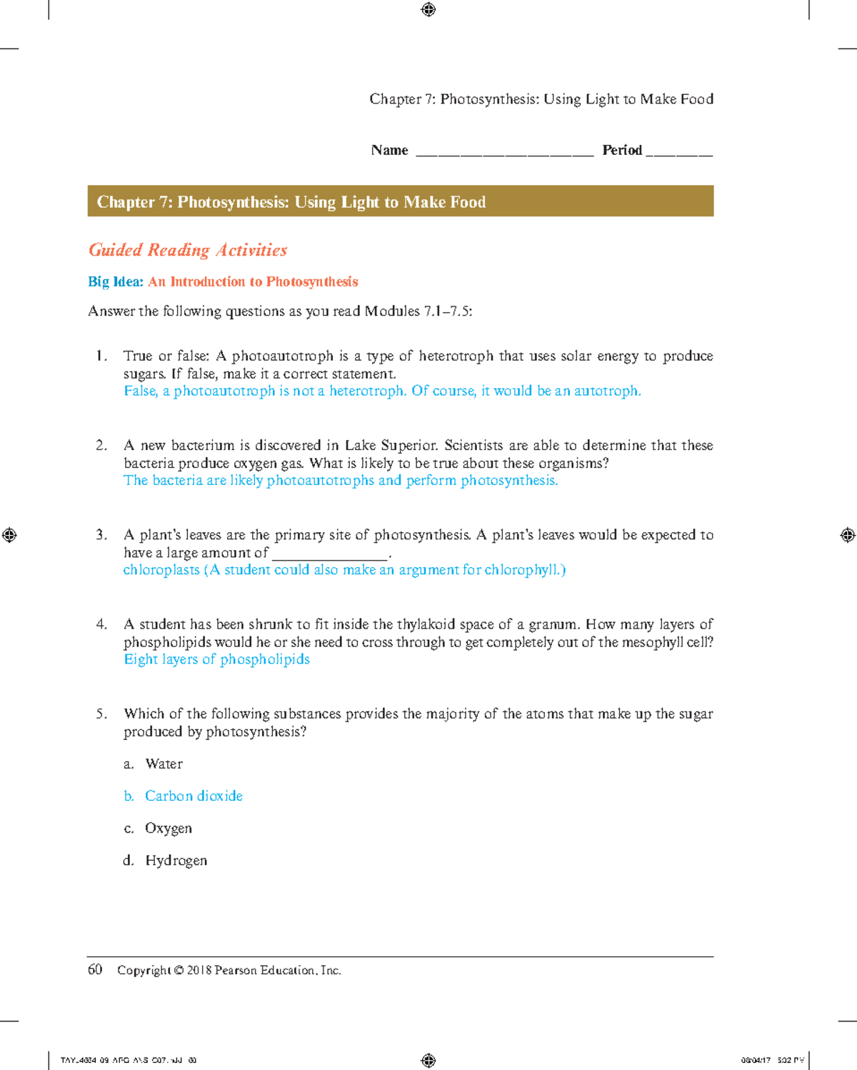 Chapter 7 Review Sheet: Photosynthesis with Answers (BIO101) - Studocu