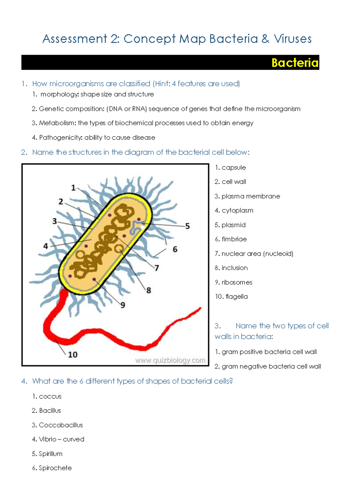 Assessment 2: Concept Map on Bacteria & Viruses (Microbiology) - Studocu