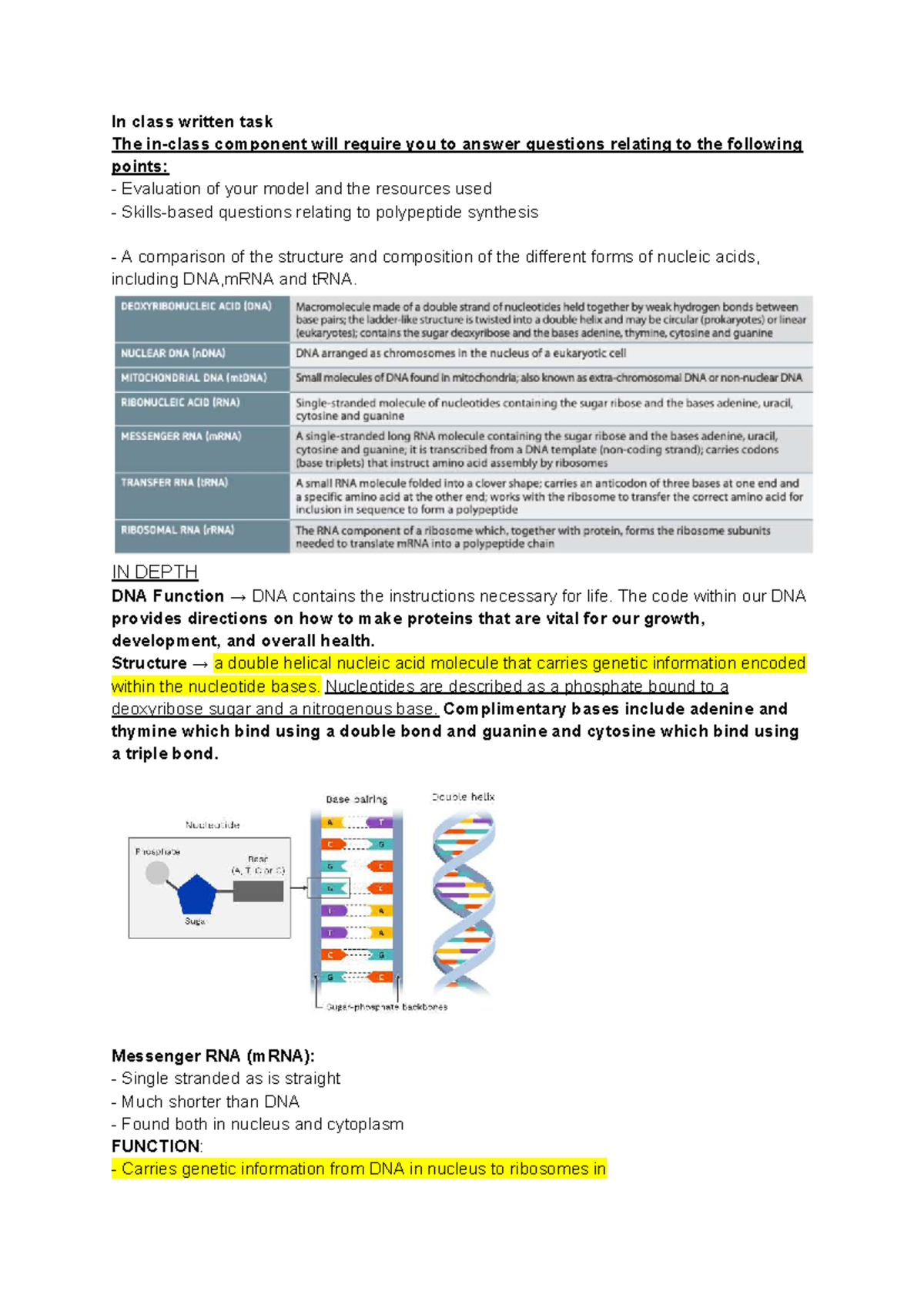 DNA Biology Notes: Polypeptide Synthesis & Protein Function (BIO101 ...