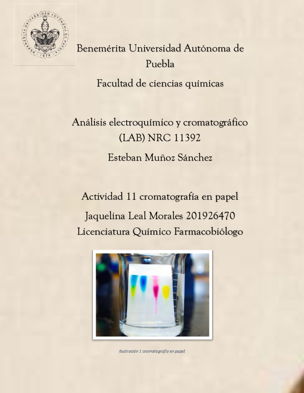 Actividad 11 cromatografía en papel - Warning: TT: undefined function: 32 Ilustración 1 - Studocu