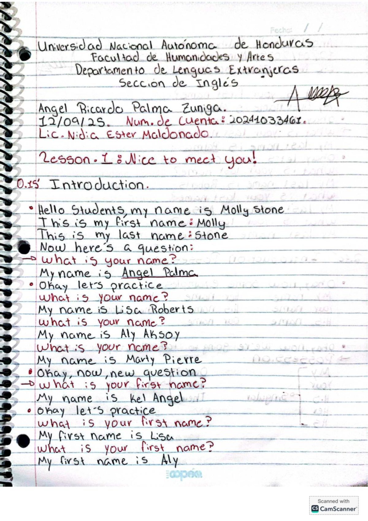 Lesson 1: Nice to Meet You! Introduction to Basic English (ENG101 ...