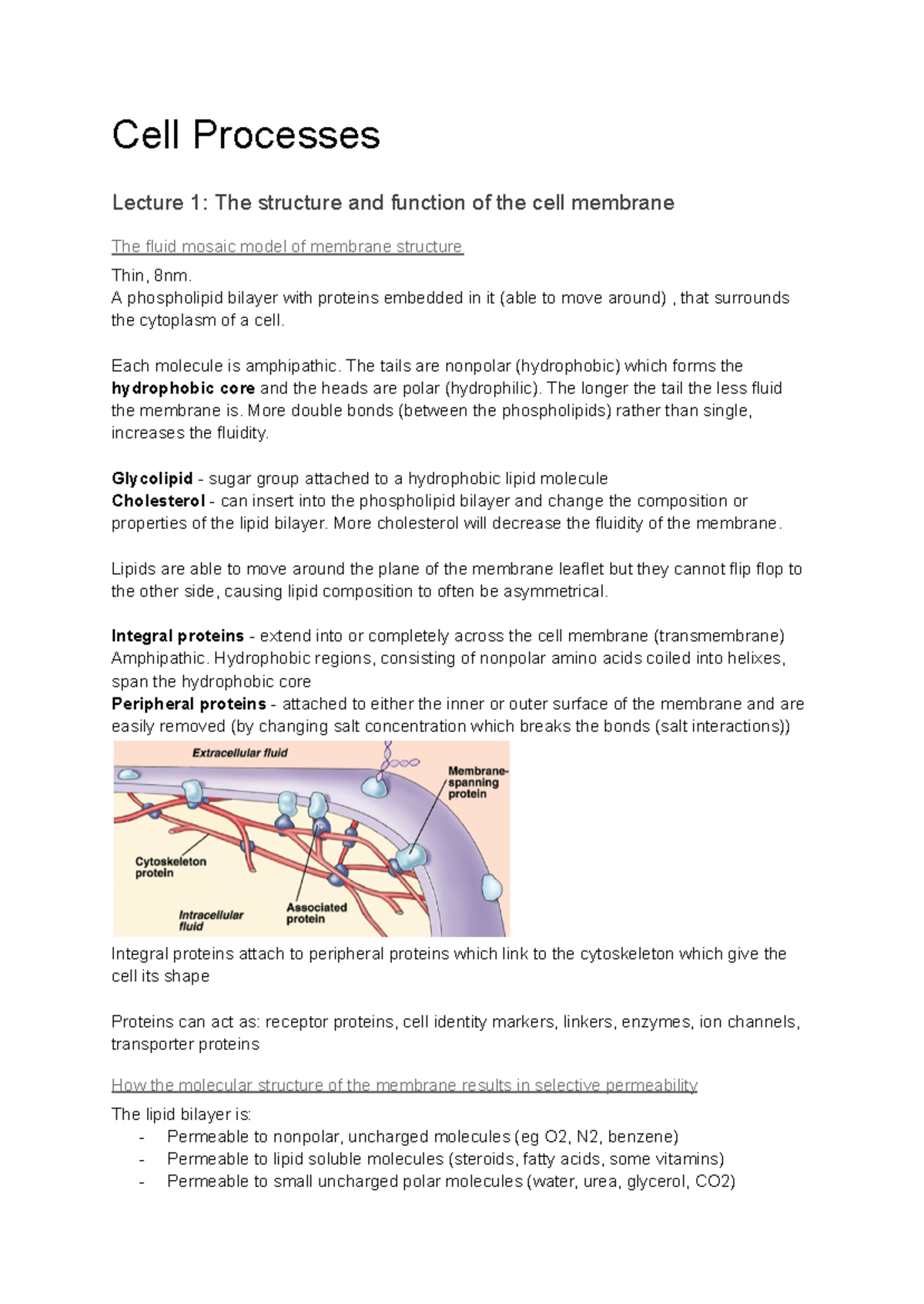 Cell Processes Lecture 1: Membrane Structure & Function Overview - Studocu