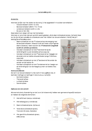 [Solved] betekenis en verschillen tussen anteversie en retroversie ...