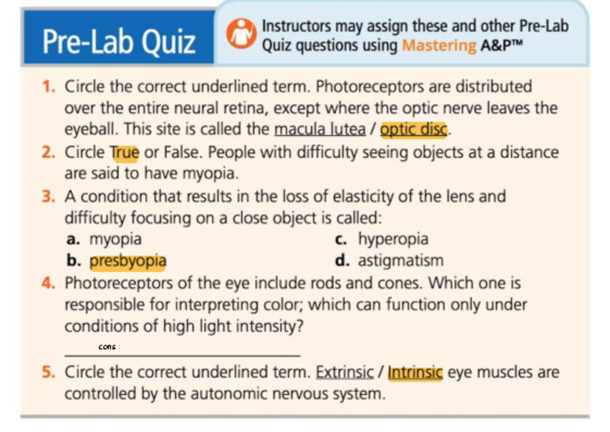 Exercise 24 Pre-Quiz - Lab Practical on Photoreceptors and Vision - Studocu