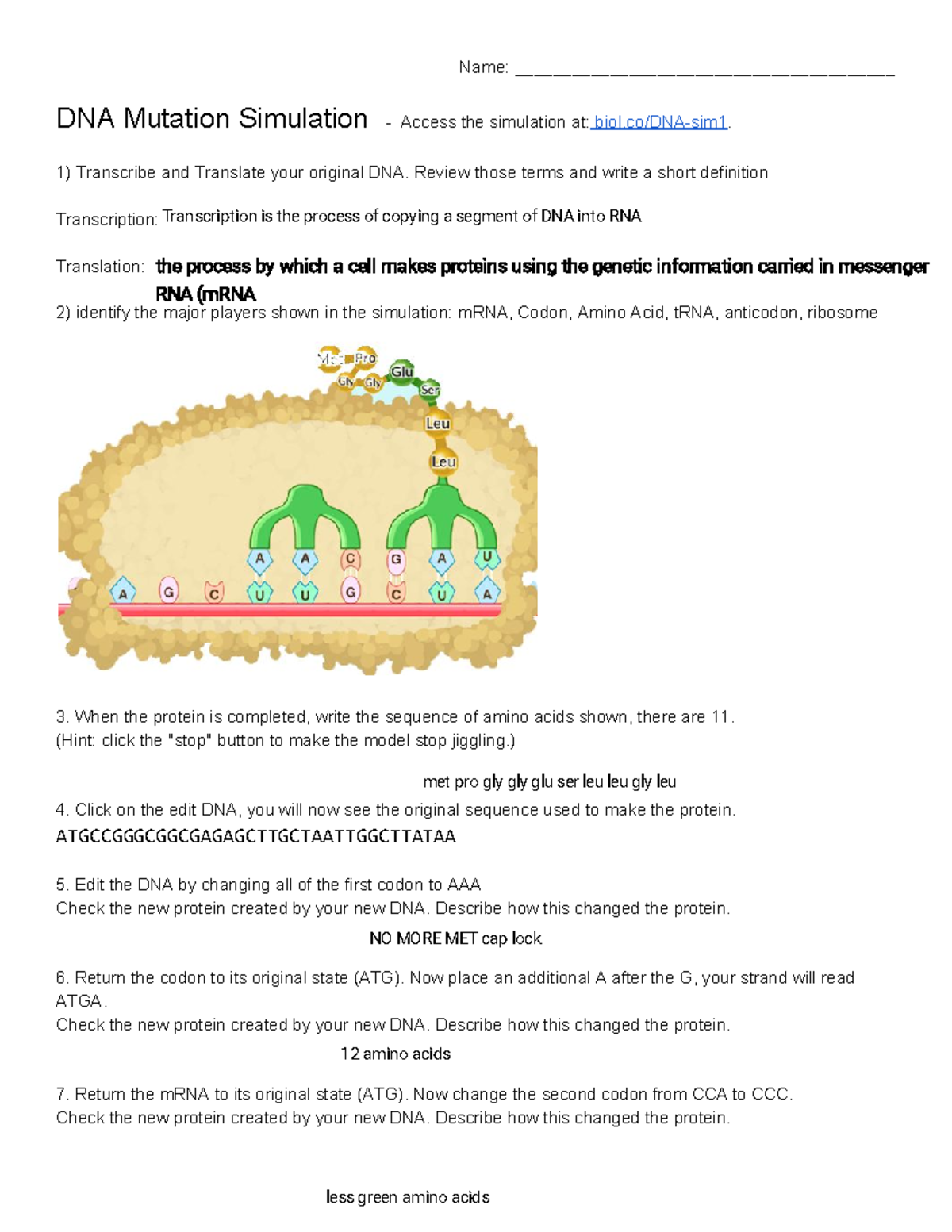 Kami Export - DNA Simulation Worksheet - Name ...