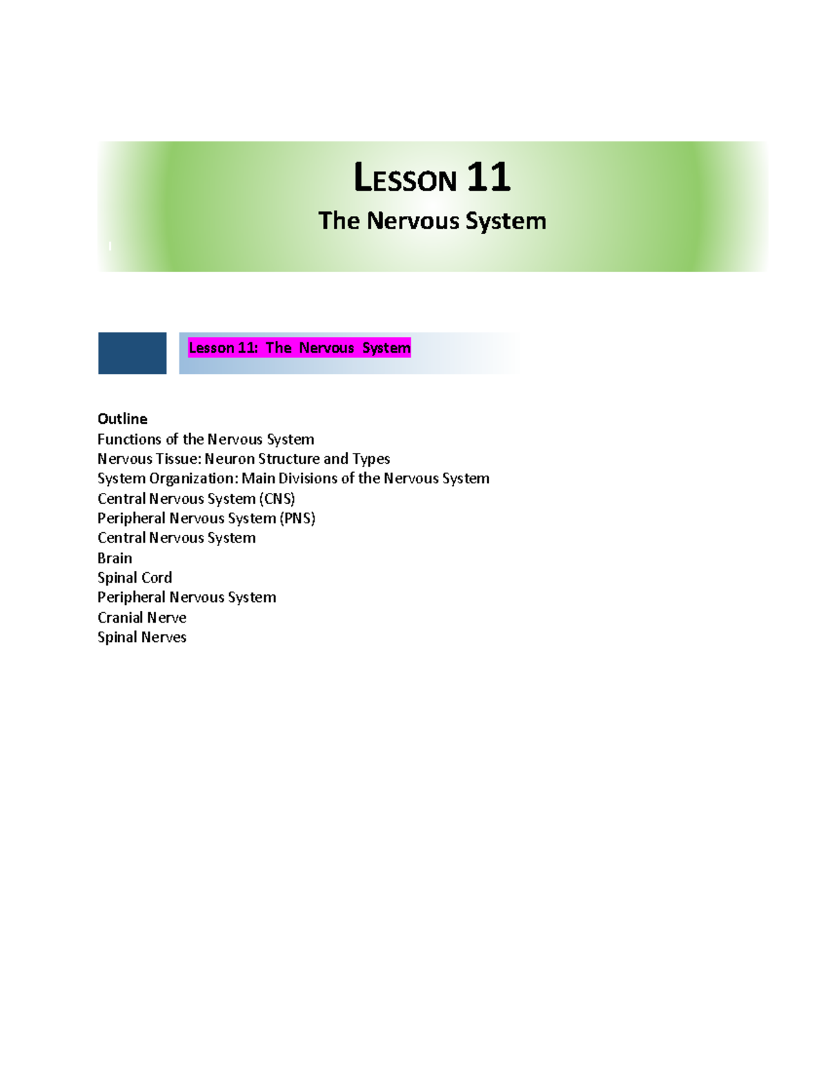 Lesson 11: Comprehensive Overview of the Nervous System - Studocu