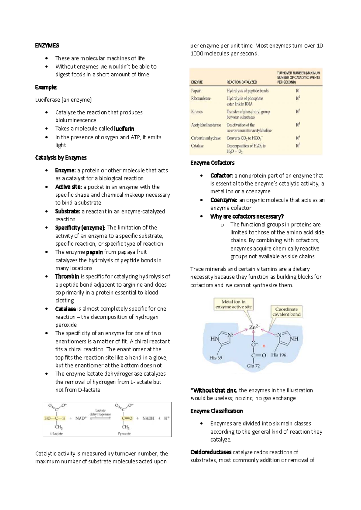 Biochemistry Reviewer: Enzymes and Their Functions in Life - Studocu