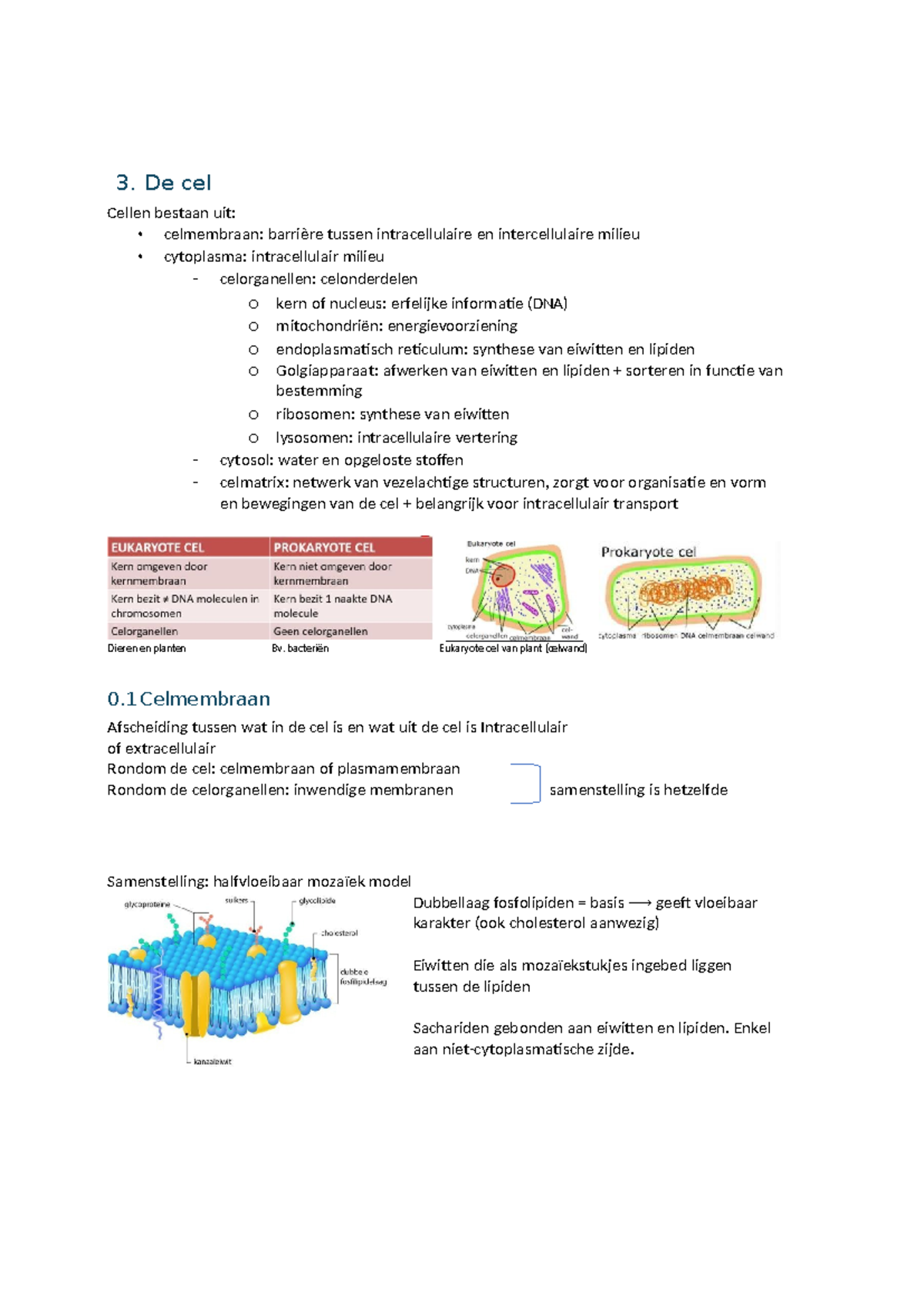 H3. De Cel: Structuur en Functies van Celorganellen en Membranen - Studocu