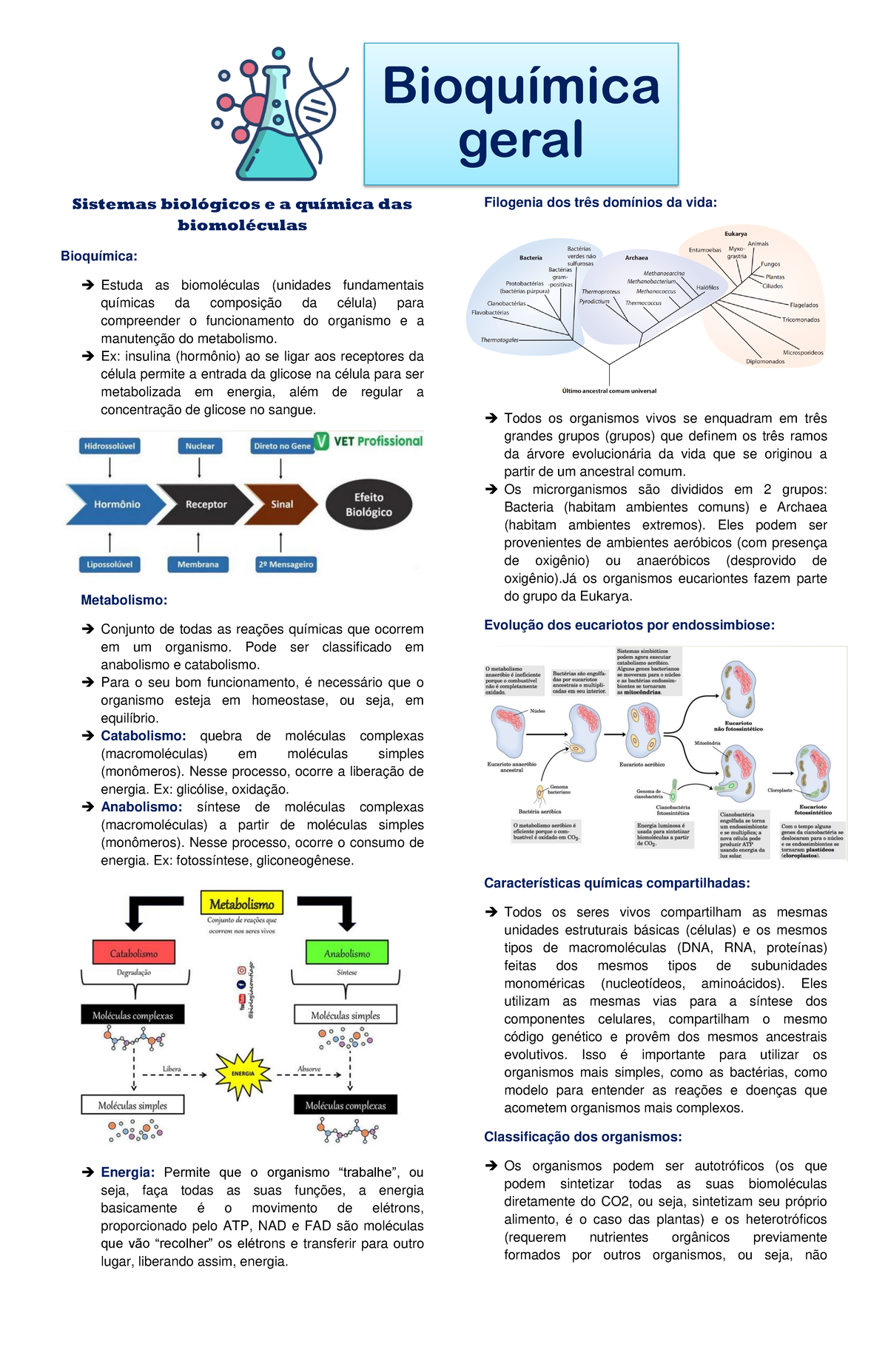 Resumo de Bioquímica 1 – Fundamentos e Metabolismo Celular - Studocu