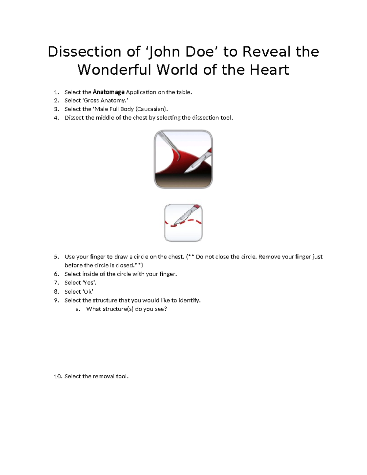 Anatomage Table Dissection: Exploring the Heart's Structure and ...