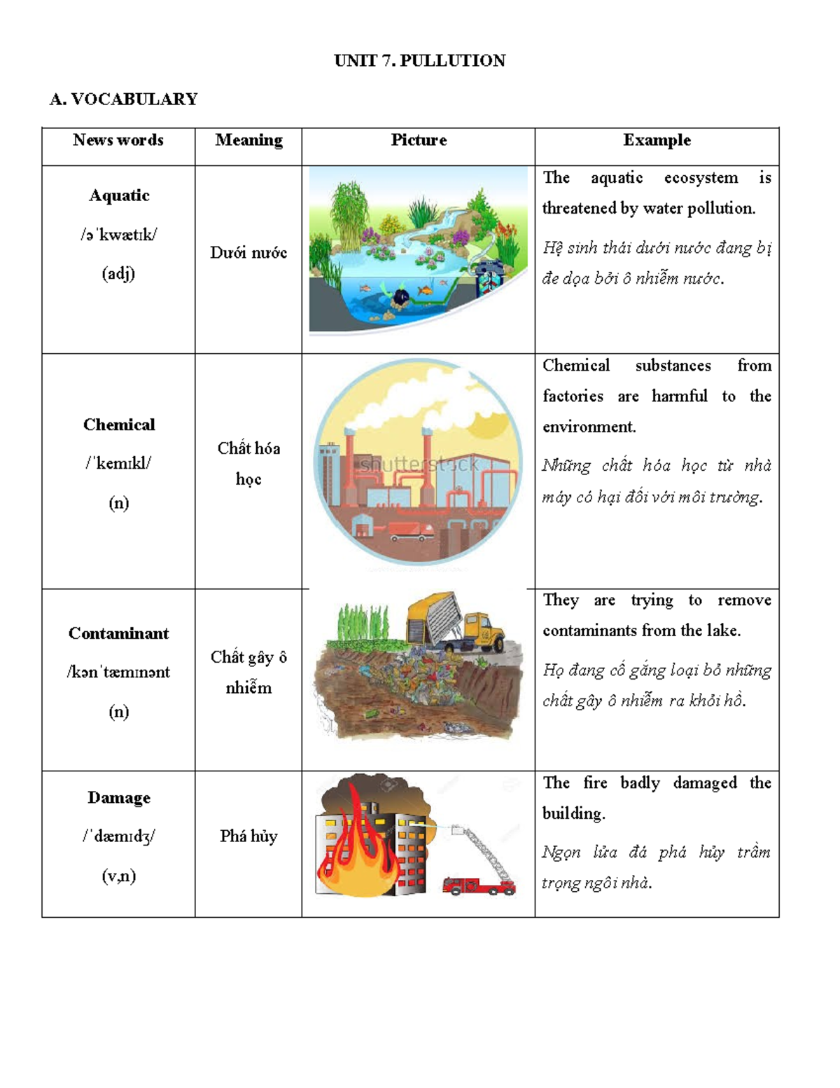 Unit 7: Pollution Vocabulary and Conditional Sentences (English 8 ...