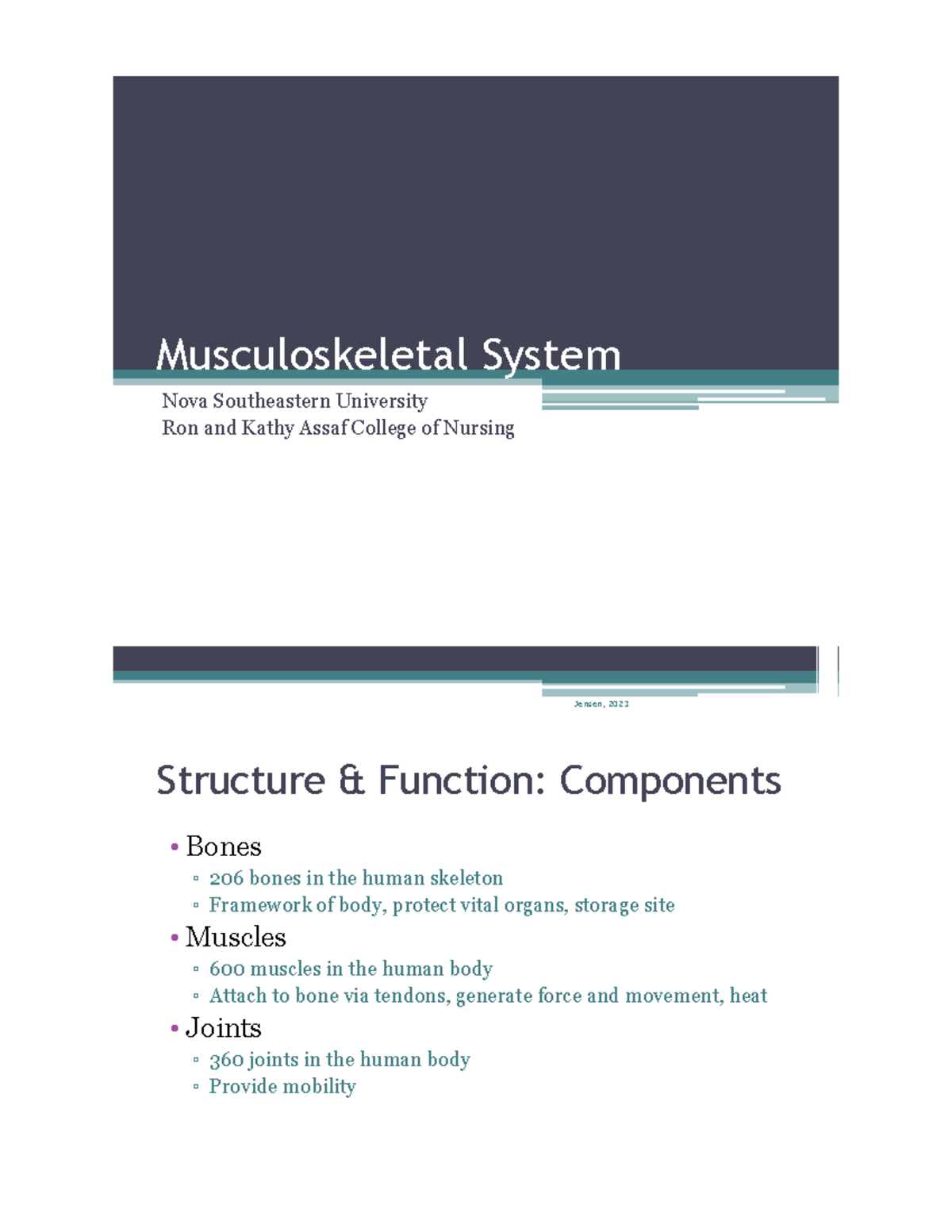 Musculoskeletal System Overview - NSU Nursing Final Exam Notes - Studocu