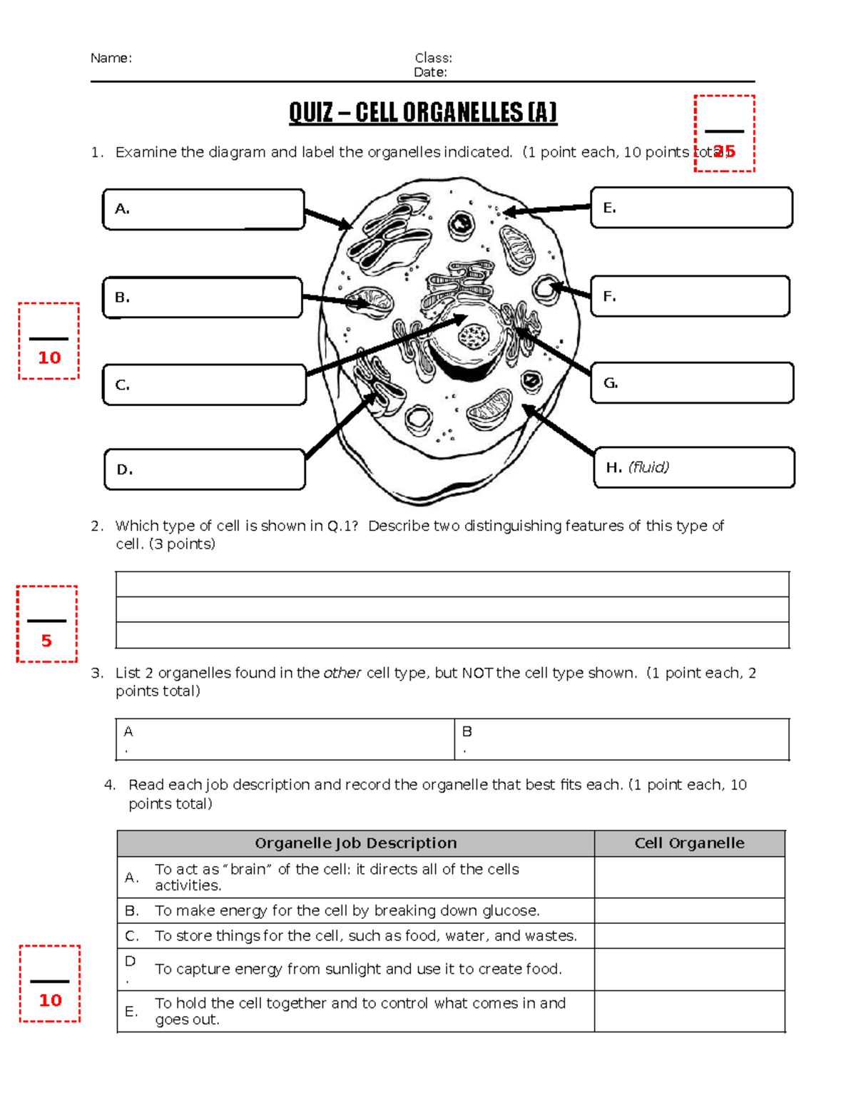 Eukaryotic Cell Labeled Quiz