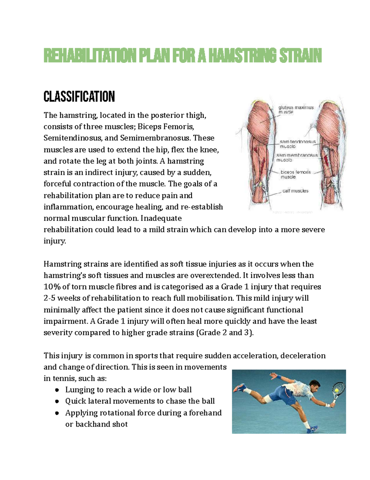 Rehabilitation Plan for Hamstring Strain: Sports Medicine Assessment ...